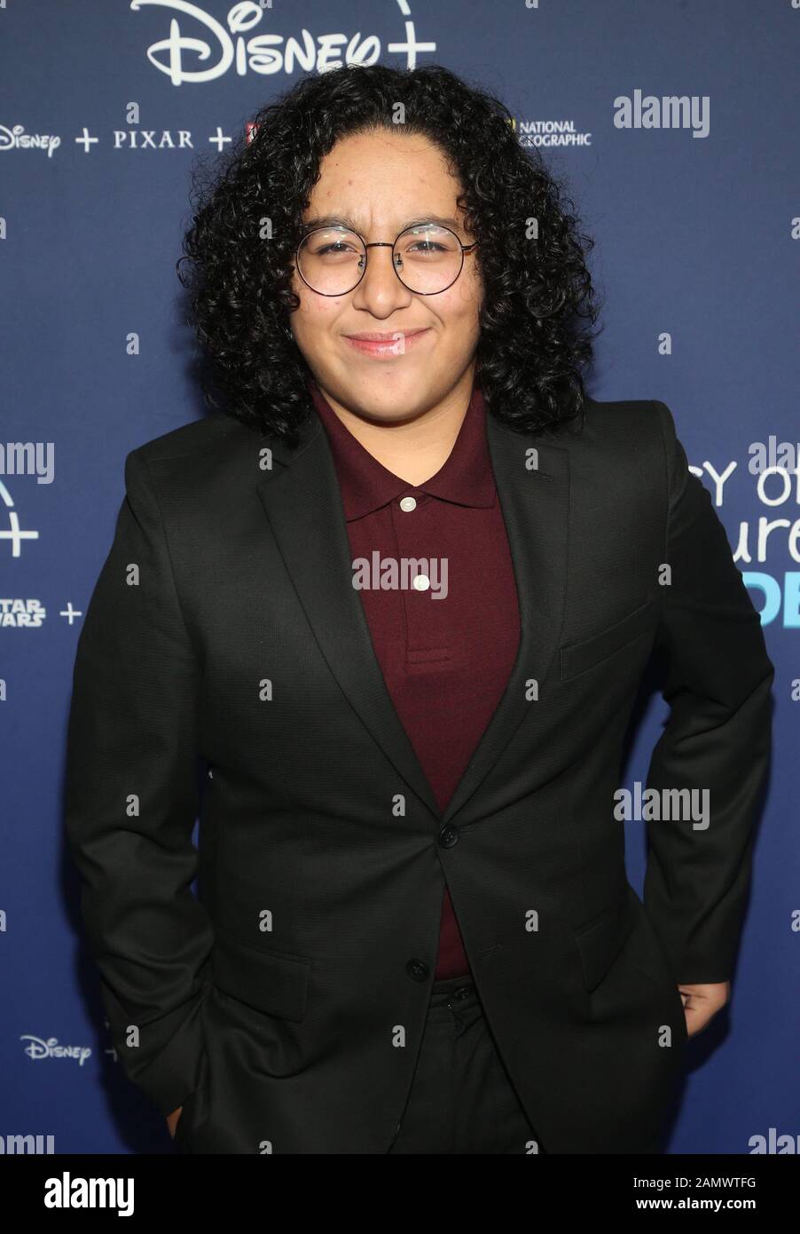 Hollywood, California, USA. 14th Jan, 2020. Nathan Arenas. Premiere Of ...
