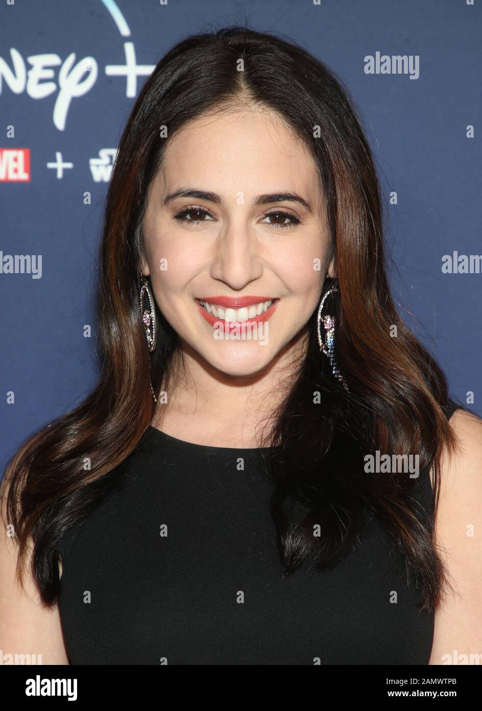 14 January 2020 - Hollywood, California - Gabrielle Ruiz. Premiere Of ...