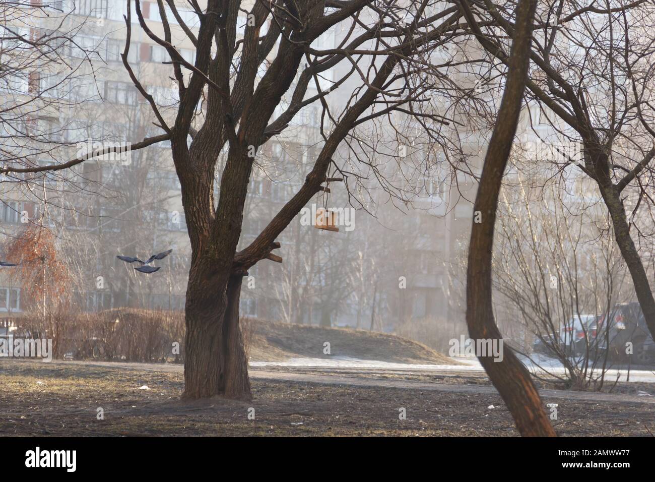 Russia old courtyard in residential quarter Stock Photo - Alamy