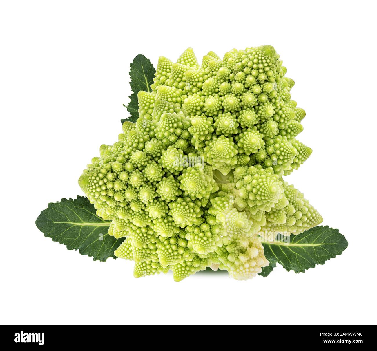 Roman cauliflower isolated on white background with clipping path Stock ...