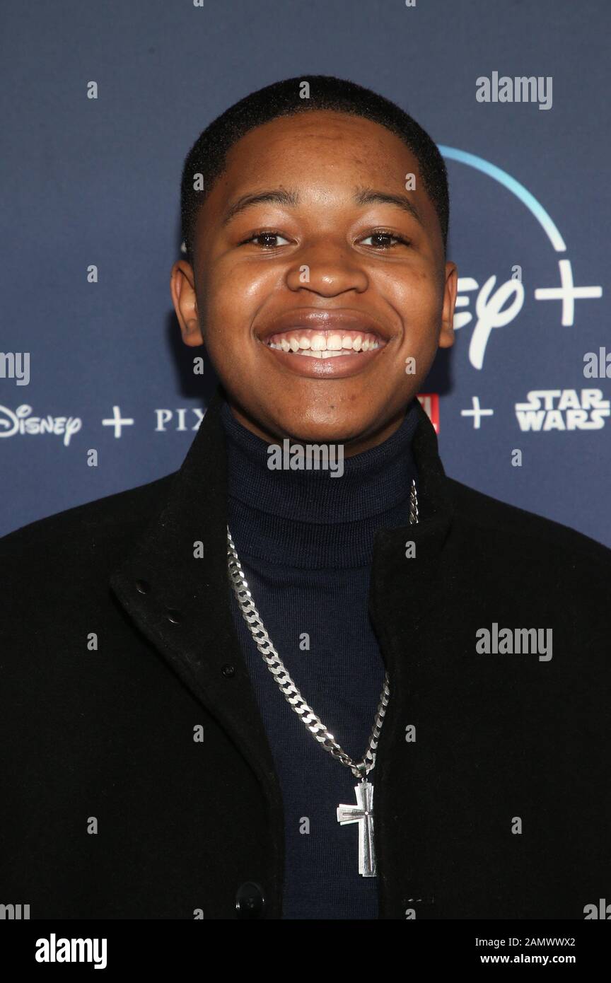 14 January 2020 - Hollywood, California - Brandon Severs. Premiere Of ...