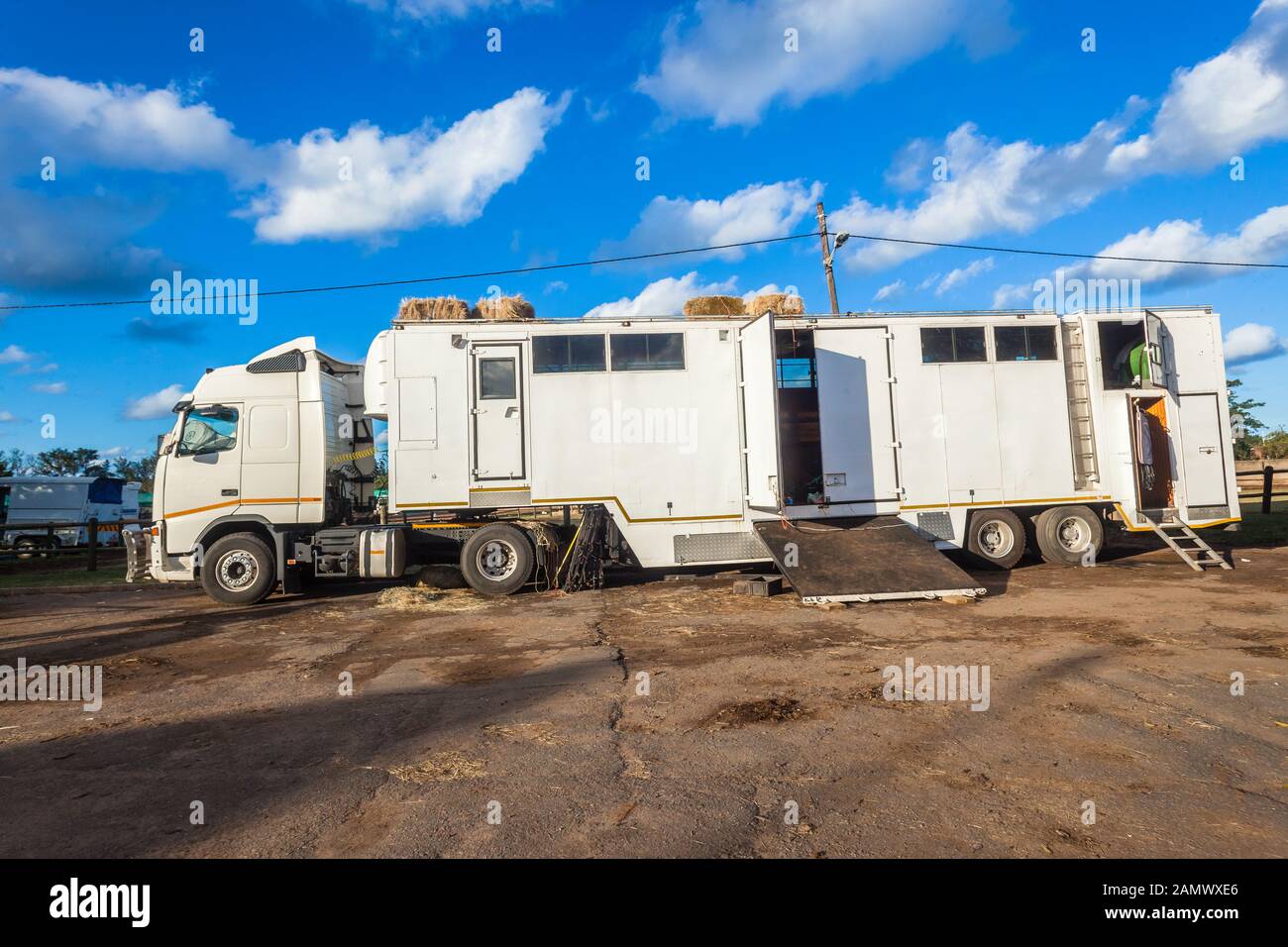 Horse equestrian truck trailer vehicle for half dozen animals parked at ...