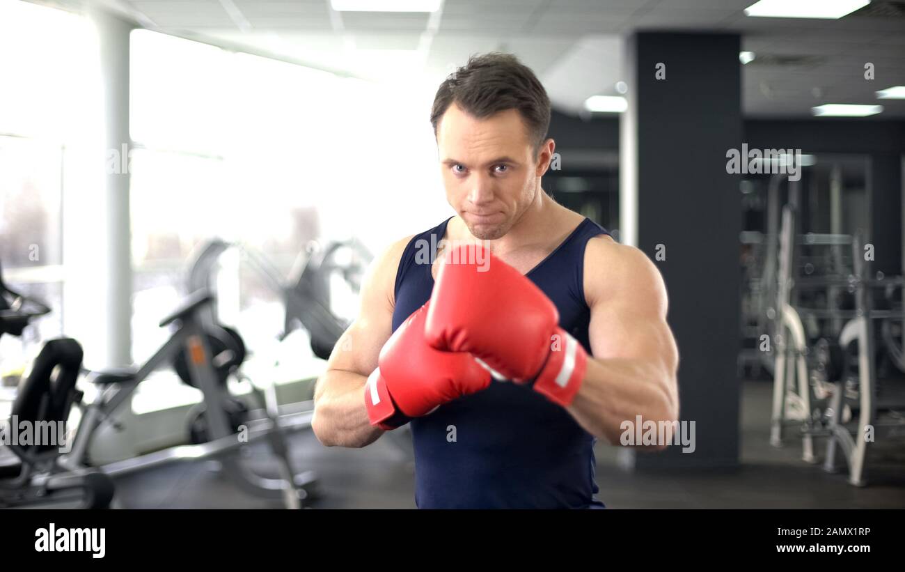 Sportsman in boxing gloves ready for training, fight spirit, sport ...