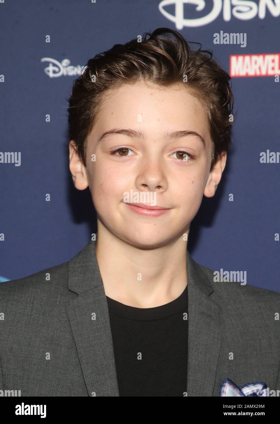 14 January 2020 - Hollywood, California - Tiernan Jones. Premiere Of ...