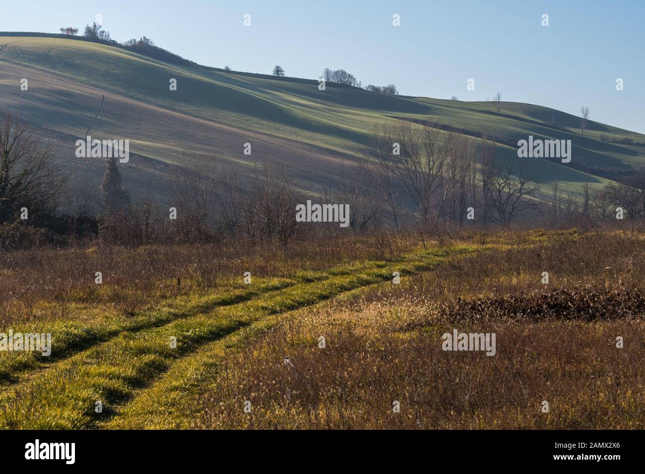Grass colors hi-res stock photography and images - Alamy