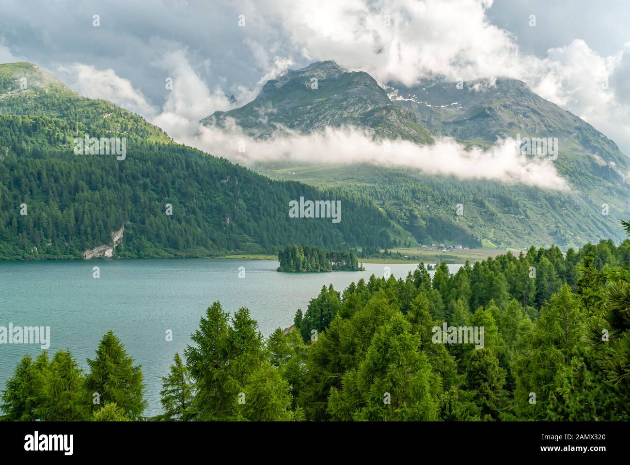 Summer landscape, Lake Sils, Upper Engadin, Switzerland Stock Photo - Alamy