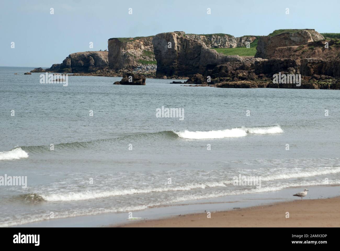 Sandhaven beach, South Shields Stock Photo - Alamy