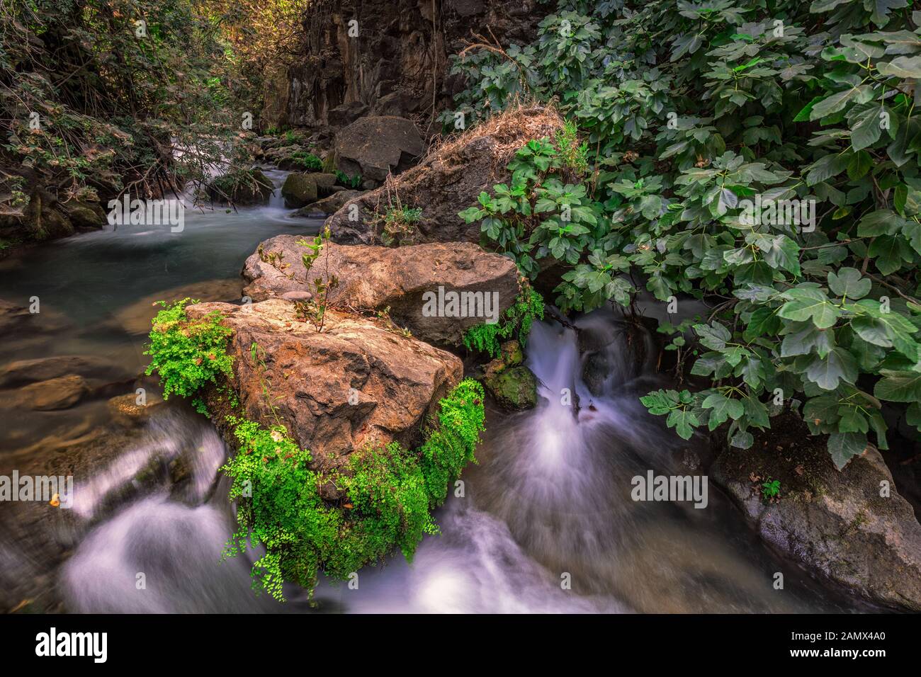 Banias river at north of Israel, flowing over rocks, shot with long ...