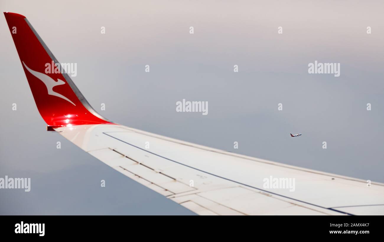 Qantas Kangaroo