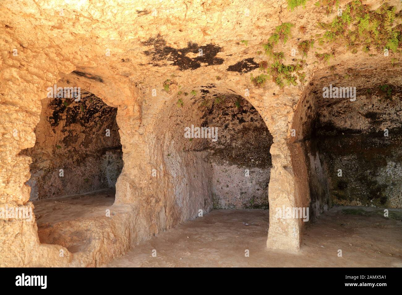 Niches in the limestone of Greek Theatre of Syracuse Stock Photo - Alamy