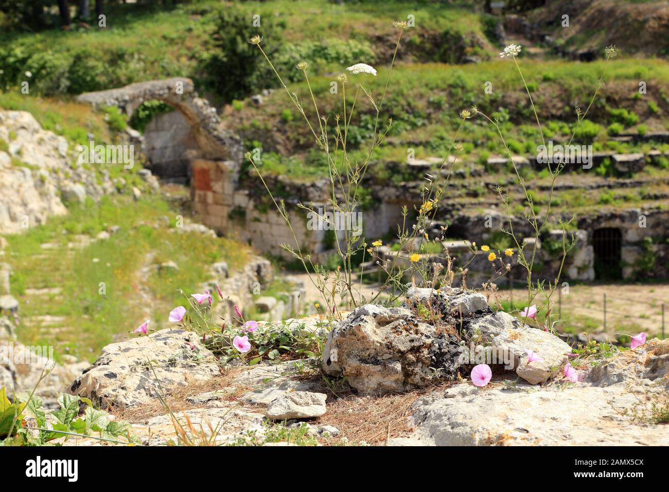 Syracuse Roman Amphitheater, Anfiteatro Romano Stock Photo - Alamy