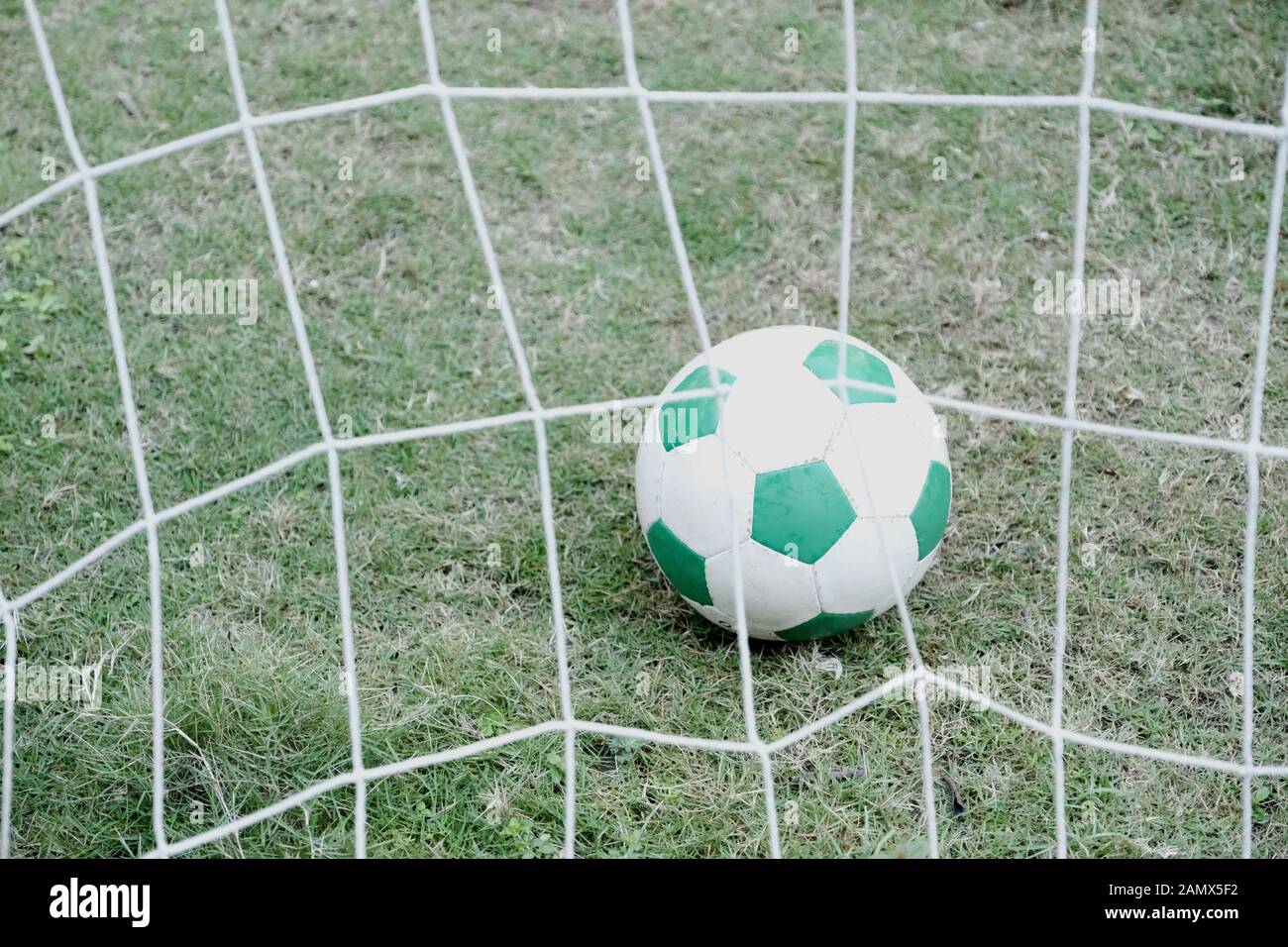 Soccer ball on the lawn behind the net of the gate in the stadium Stock ...