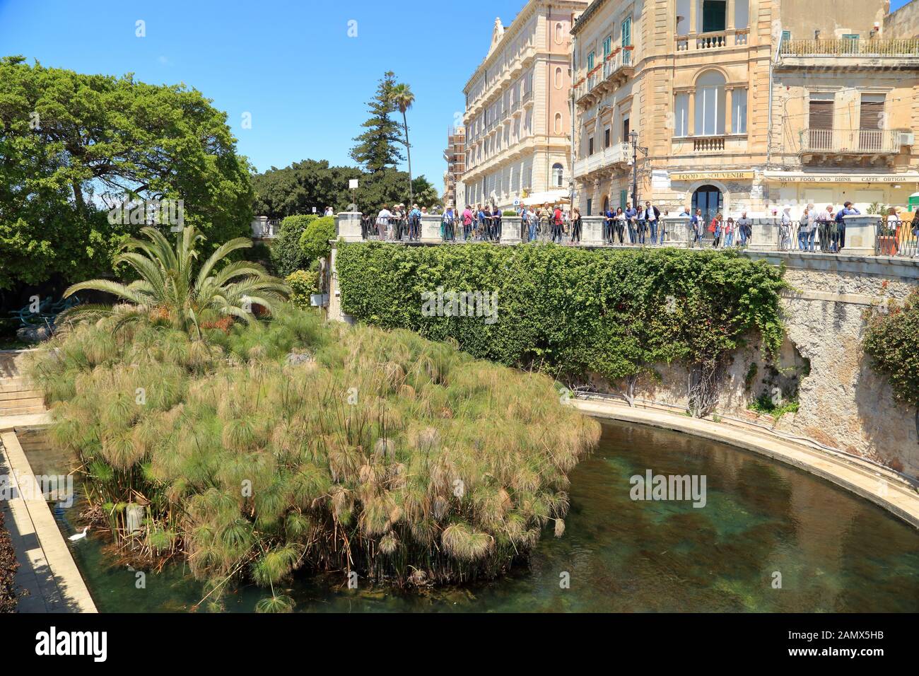 Arethusa hi-res stock photography and images - Alamy