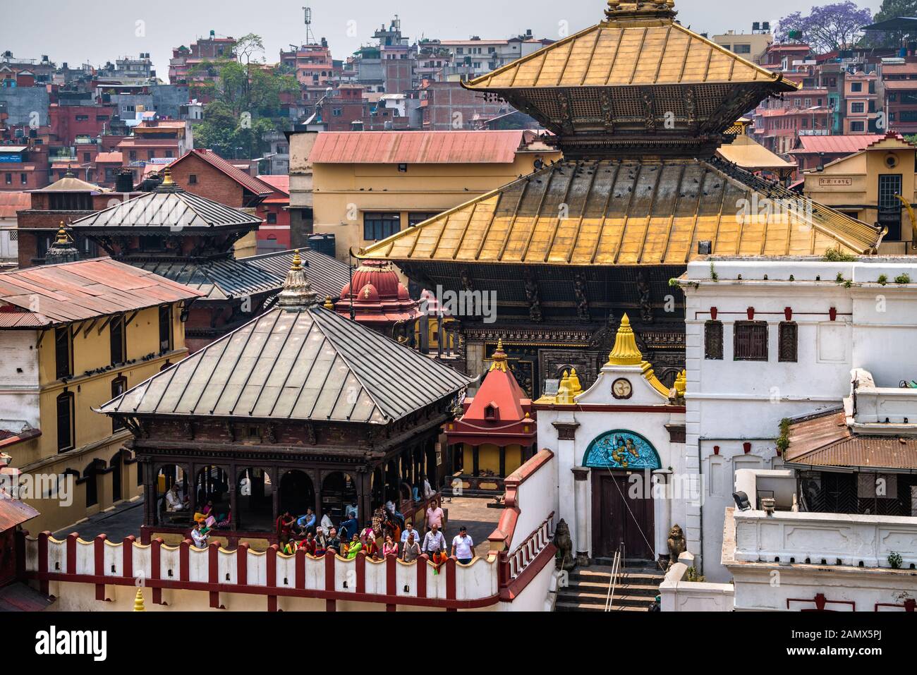 Pashupati Nath Temple at Pashupatinath complex, Kathmandu, Nepal Stock ...
