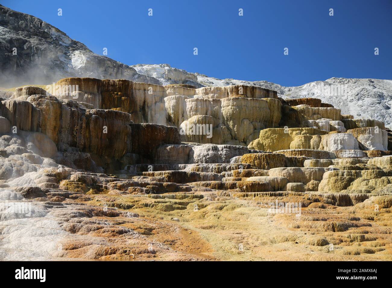 Blue Mammoth High Resolution Stock Photography and Images - Alamy