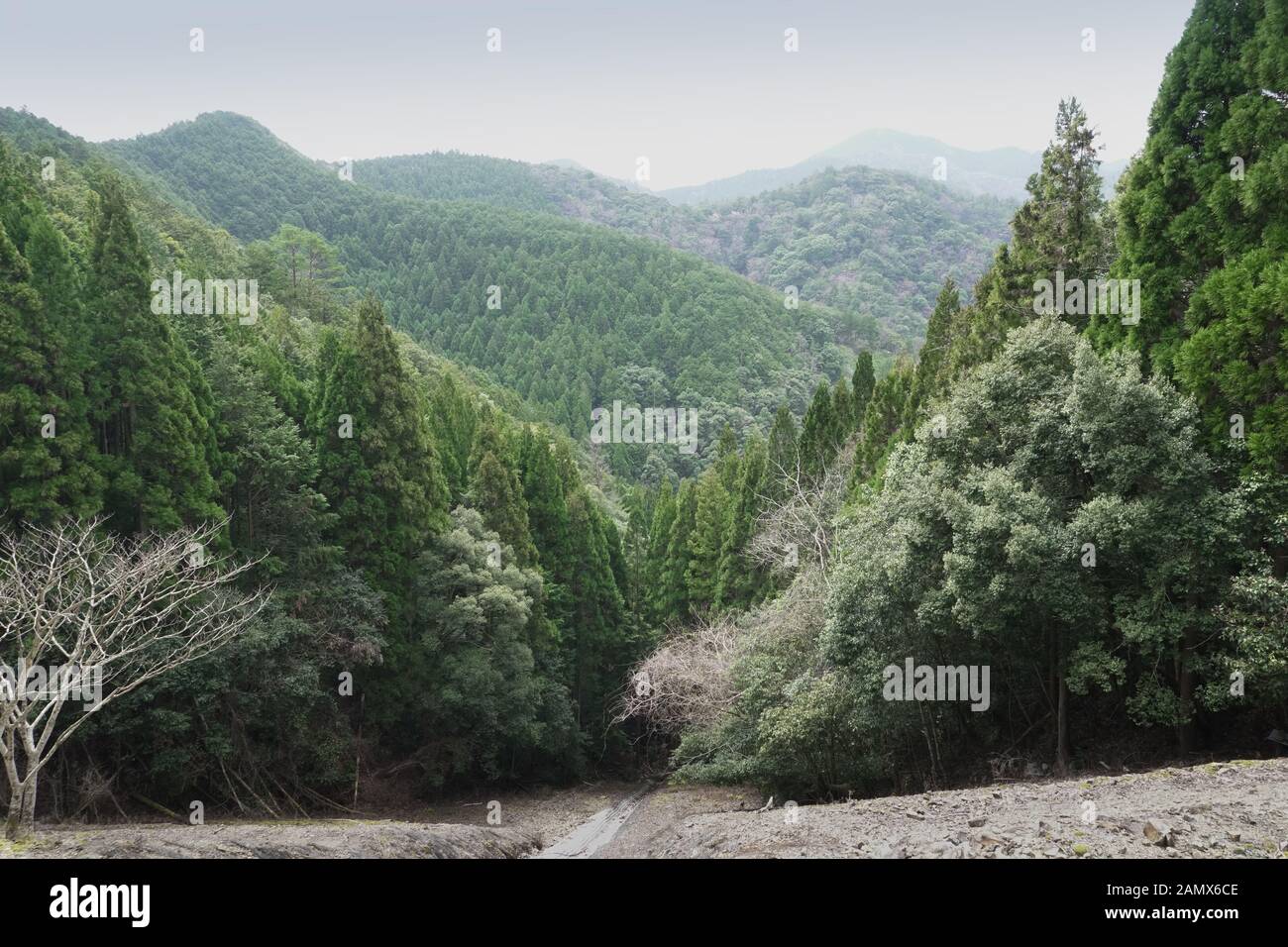 Rolling green hills in Hongu area on the Kumano Kodo trail Japan Stock ...