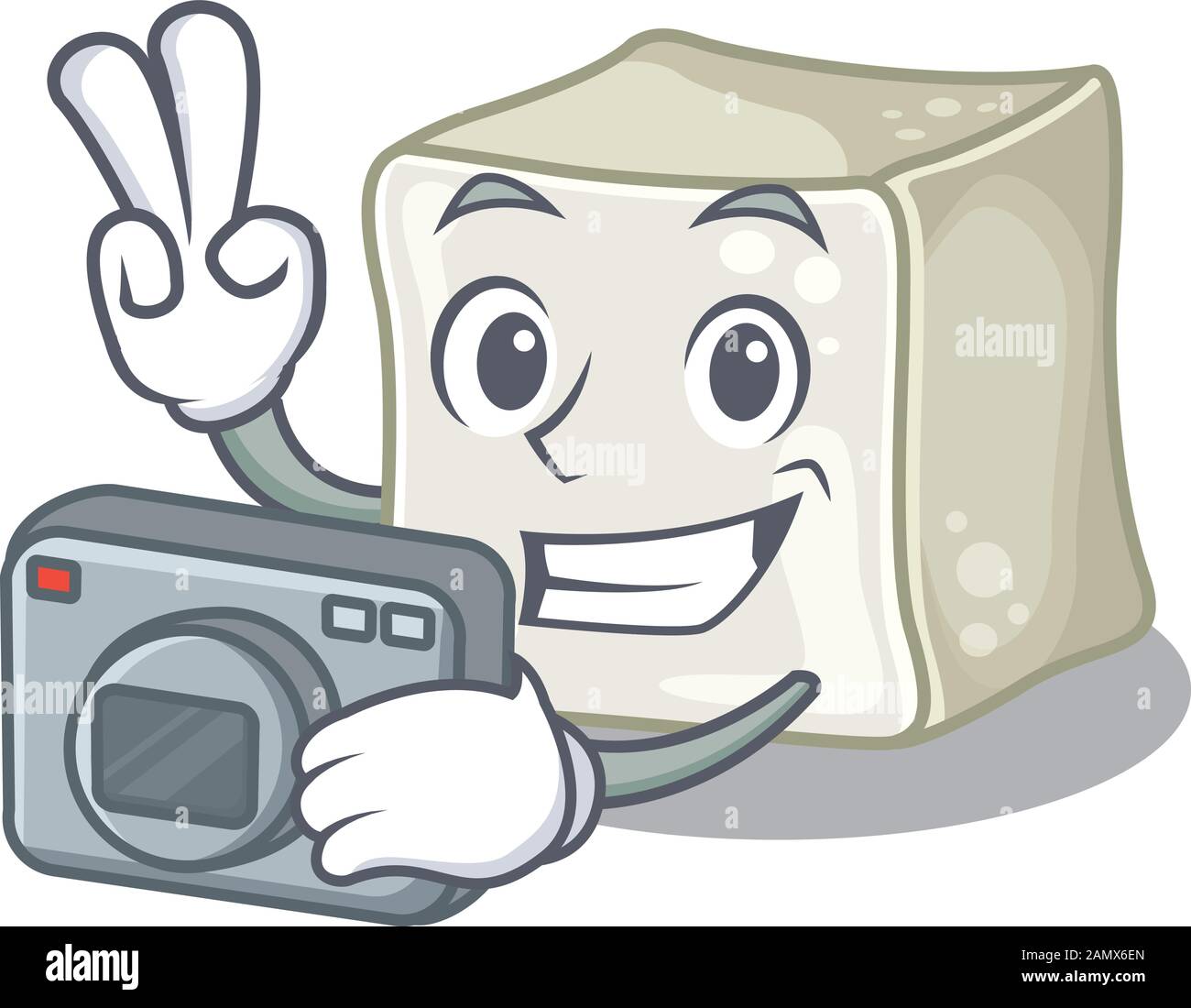 Cool Photographer sugar cube character with a camera Stock Vector Image ...