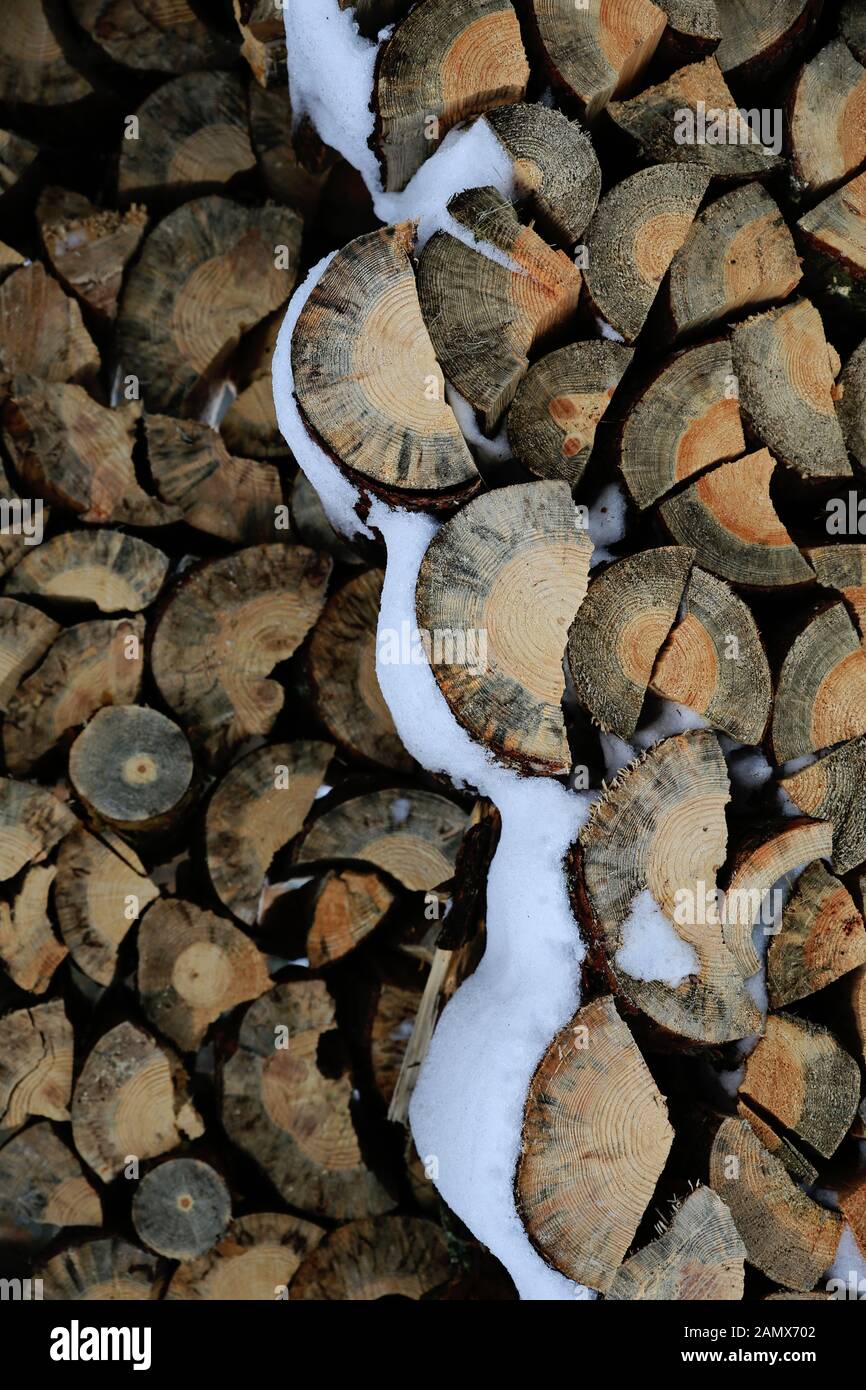 Cut wood pile in snow Stock Photo - Alamy