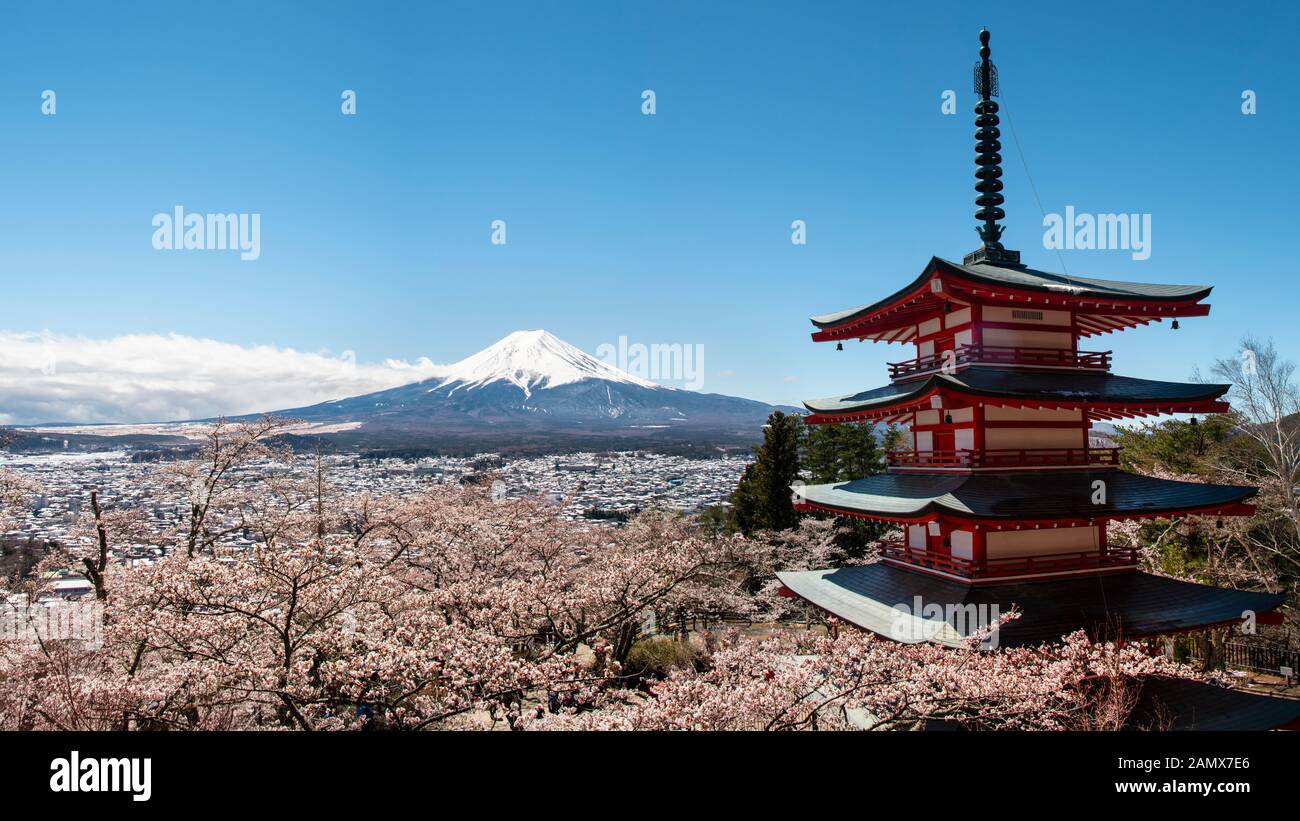 Pagoda sakura hi-res stock photography and images - Alamy