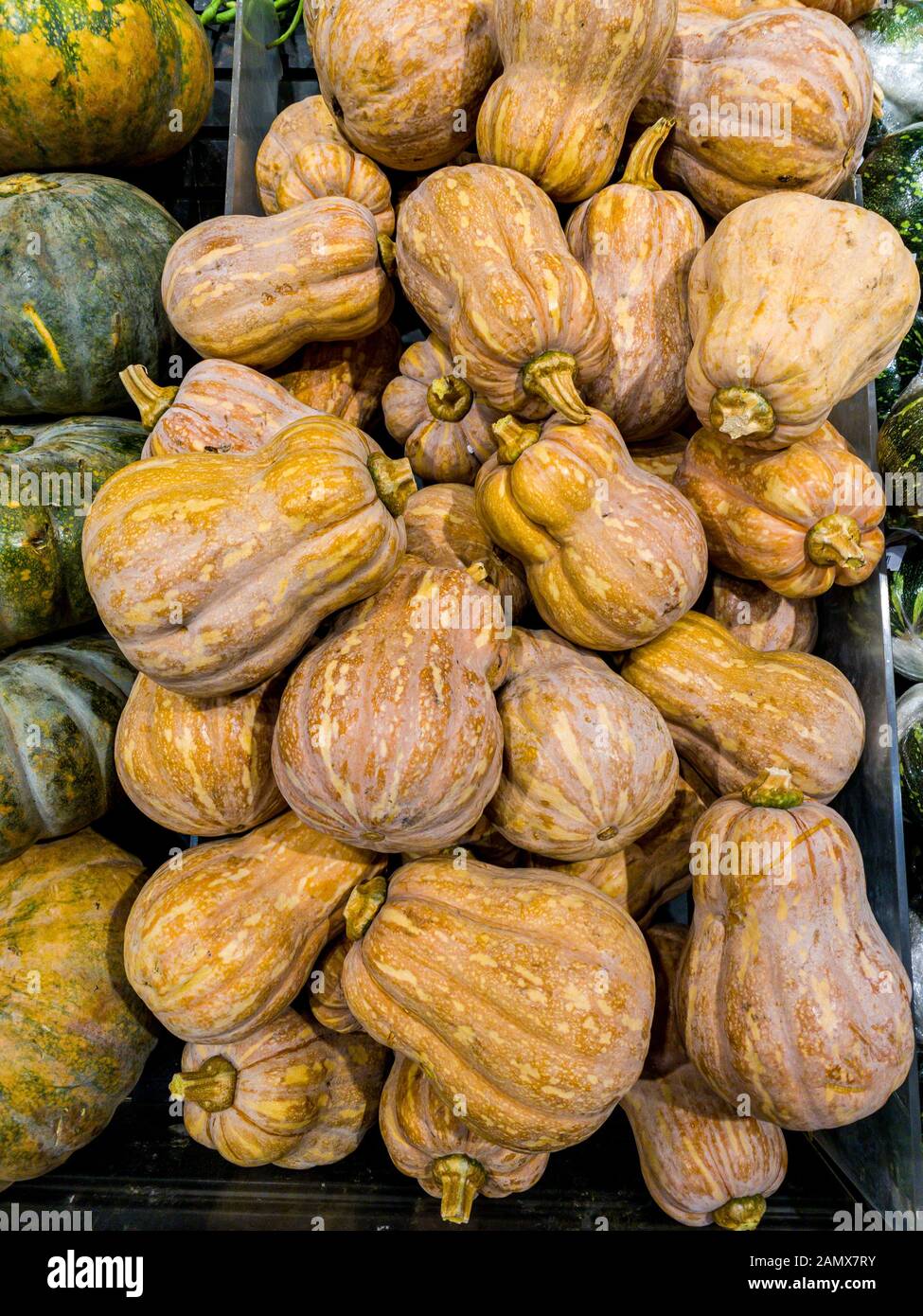 Pile of fresh pumpkin for sale at farmer's market Stock Photo - Alamy
