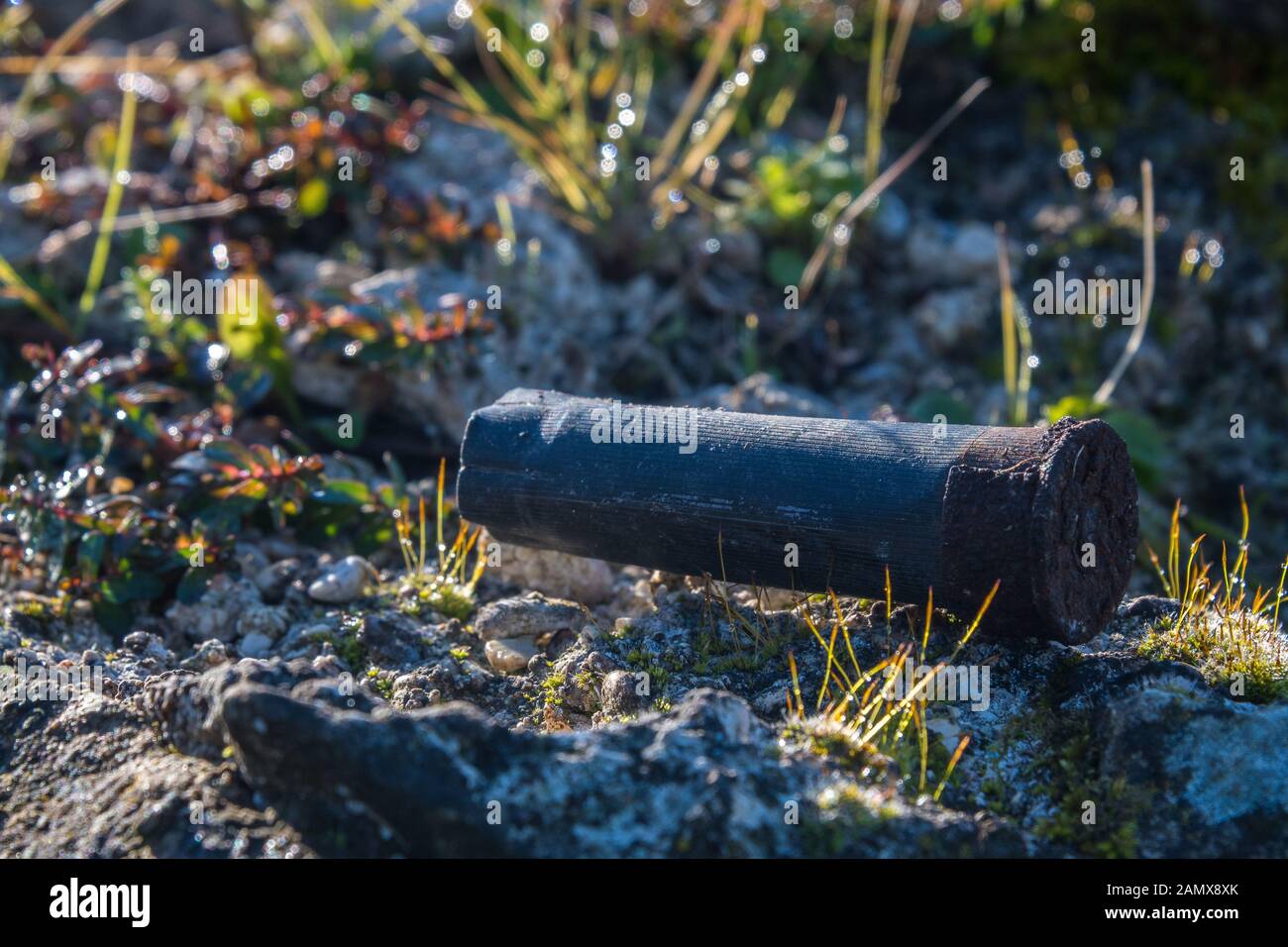 bullet shell discarded on the ground Stock Photo - Alamy