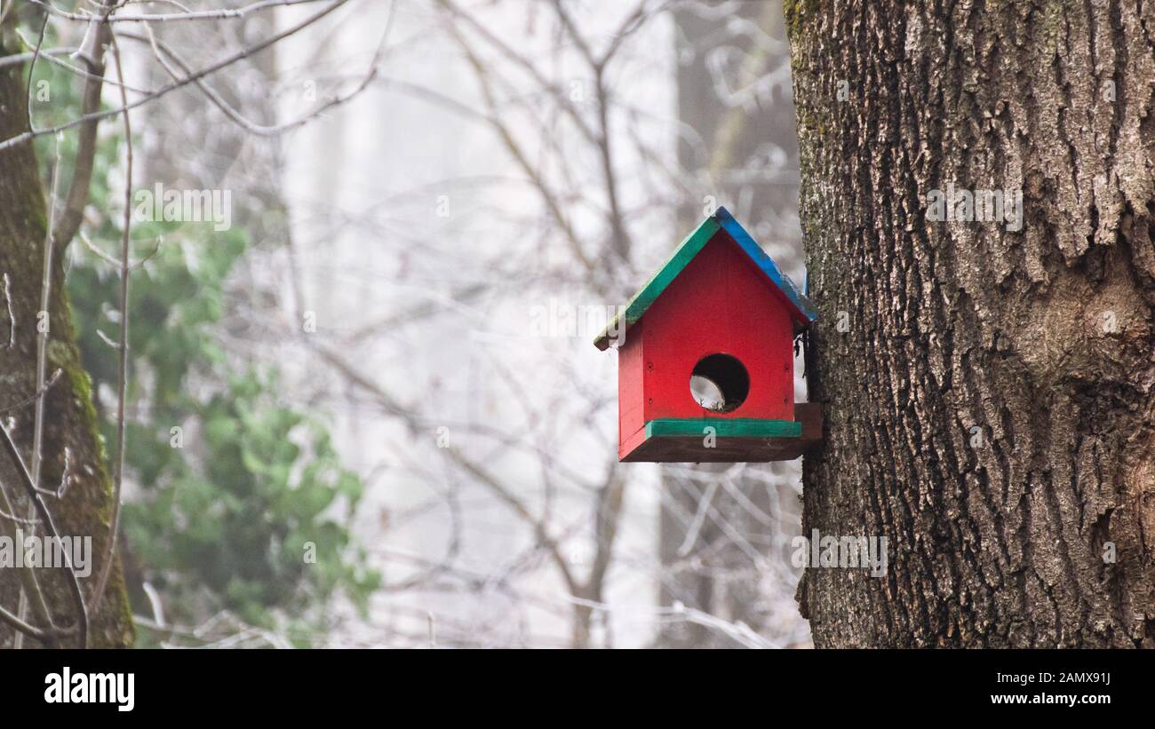 Wildlife shelter christmas tree hi-res stock photography and images - Alamy