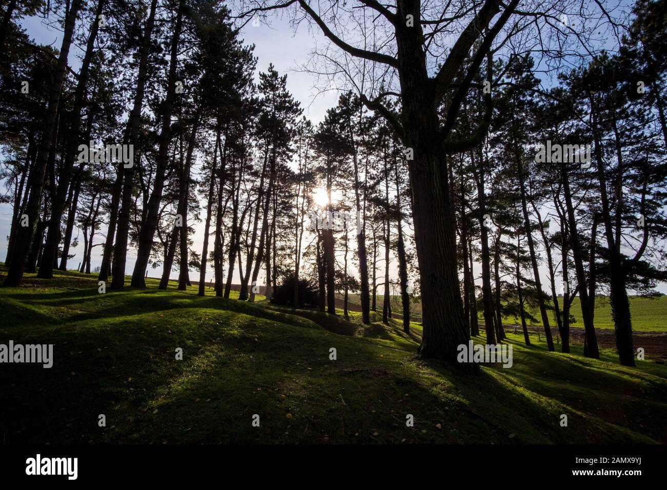 Shell craters and entrenchments in sheffield memorial park 011 hi-res ...