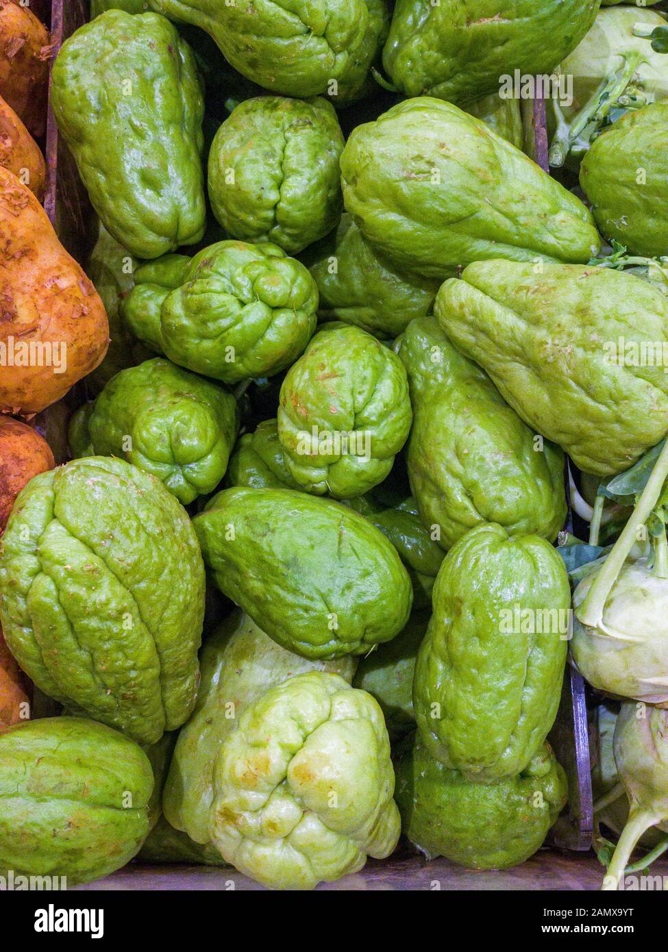 Ripe chayote fruit hi-res stock photography and images - Alamy