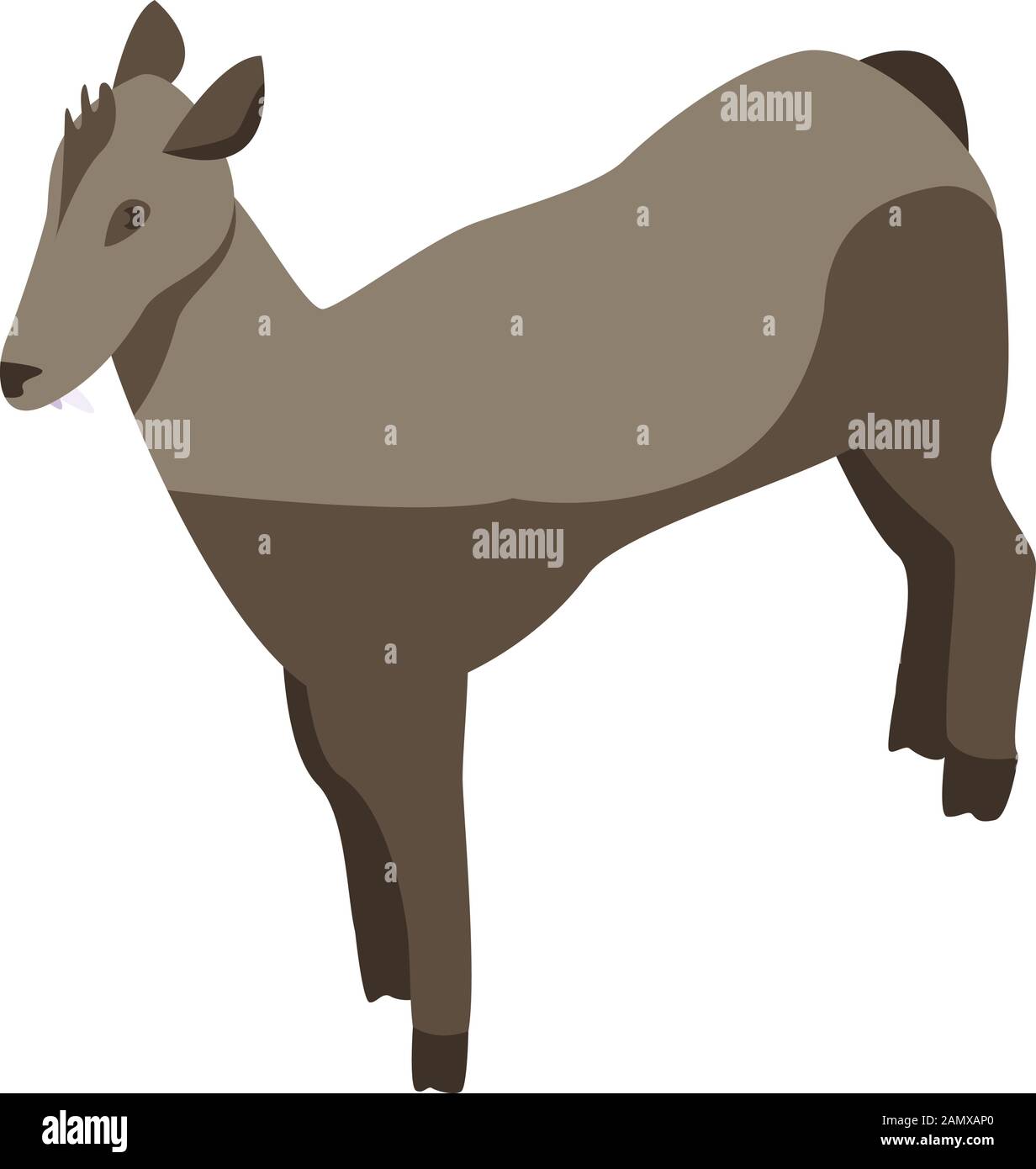 Female black buck Stock Vector Images - Alamy