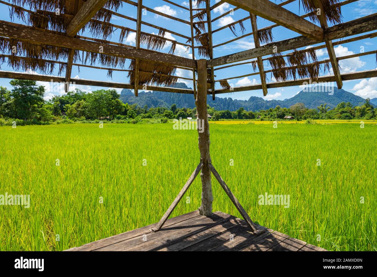 Vientiane rice fields hi-res stock photography and images - Alamy