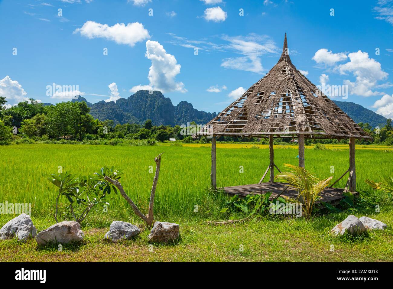 Vientiane rice fields hi-res stock photography and images - Alamy