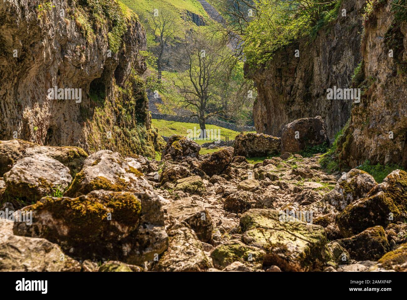 Troller's Gill, near Skyreholme in the Lower Wharfedale, North ...