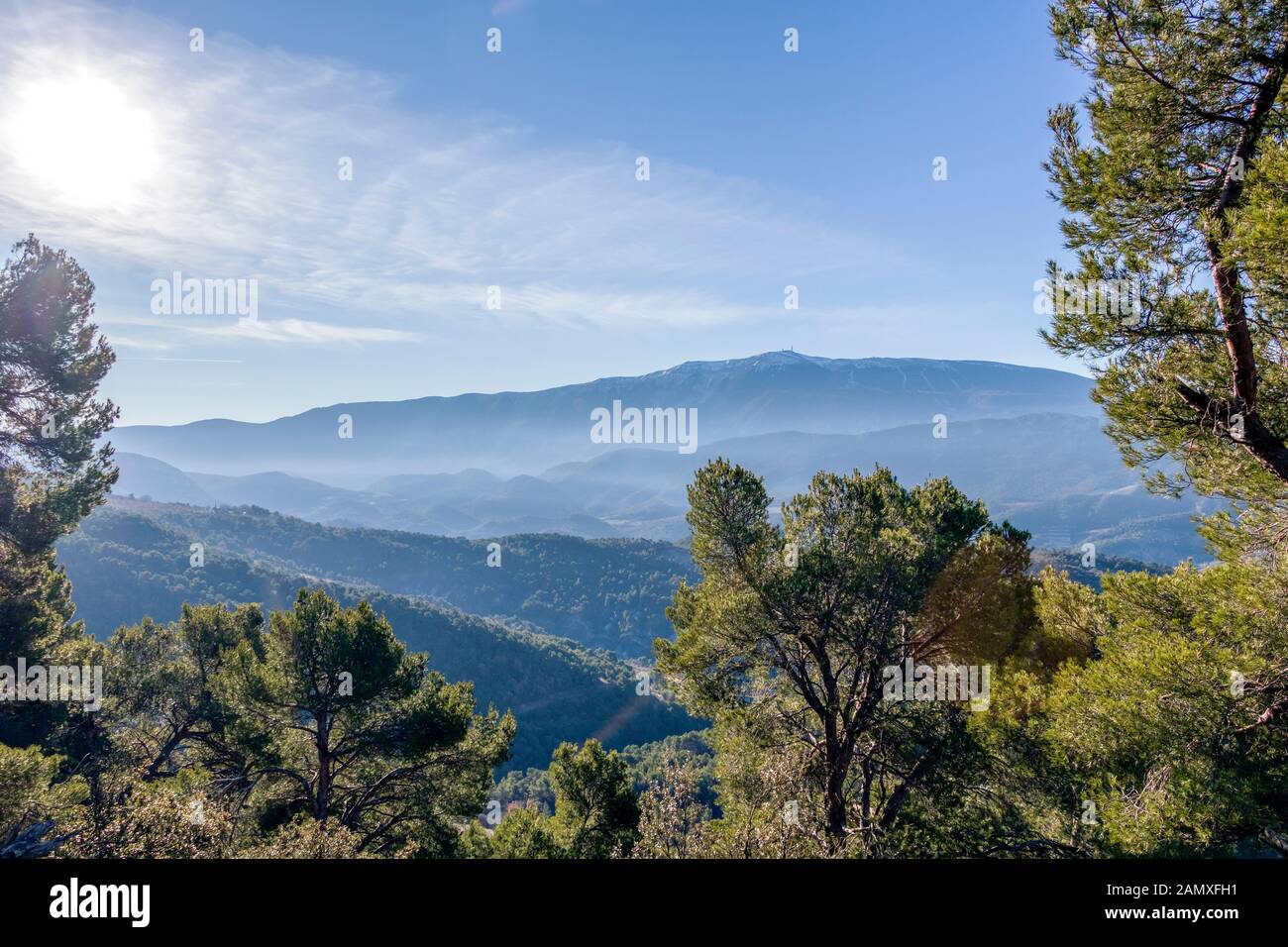 Mediterranean landscape with green evergreen forest and Mont Ventoux ...