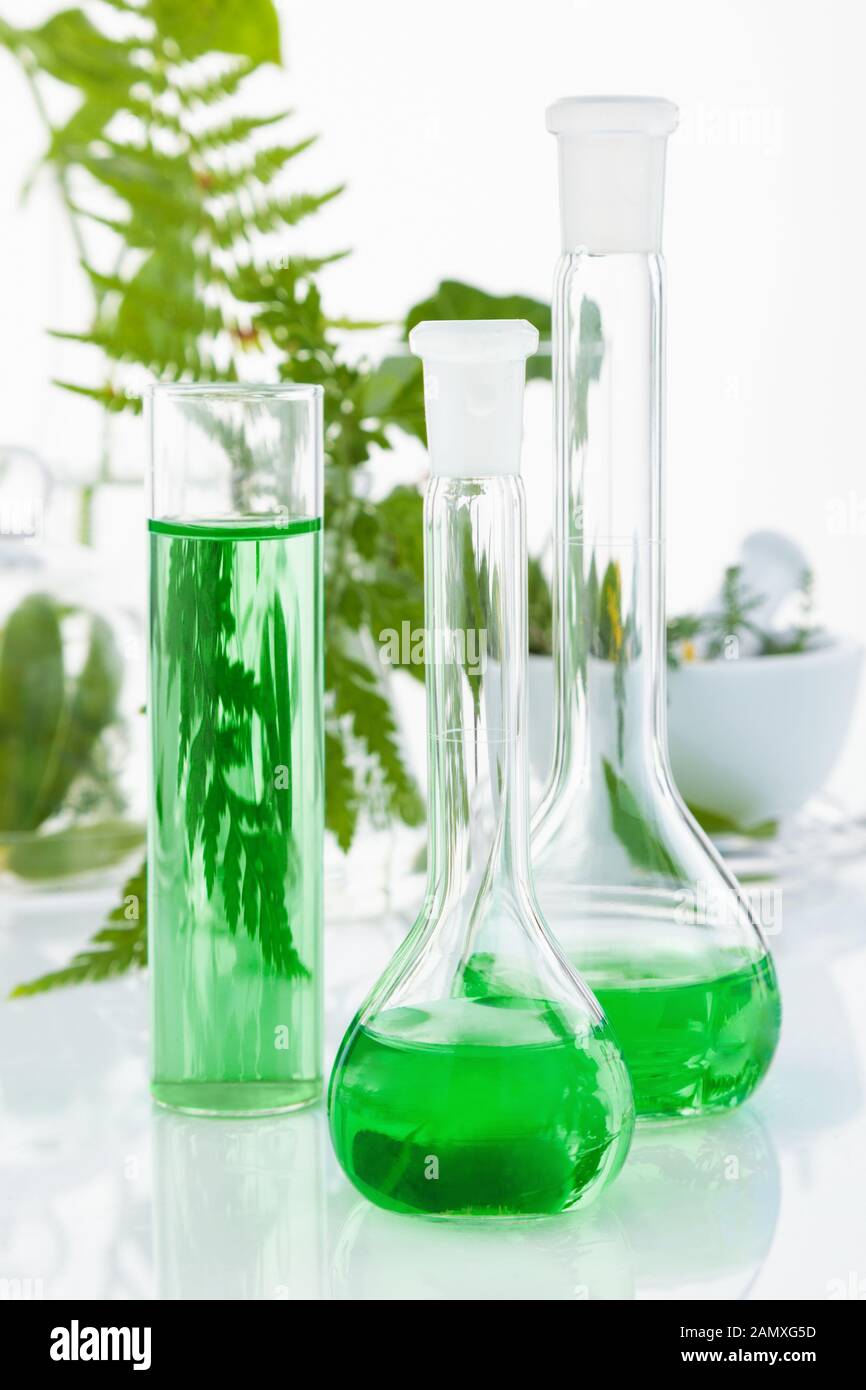 The glass bulb. Chemical flask. Chemical vessels. Glassware Stock Photo ...