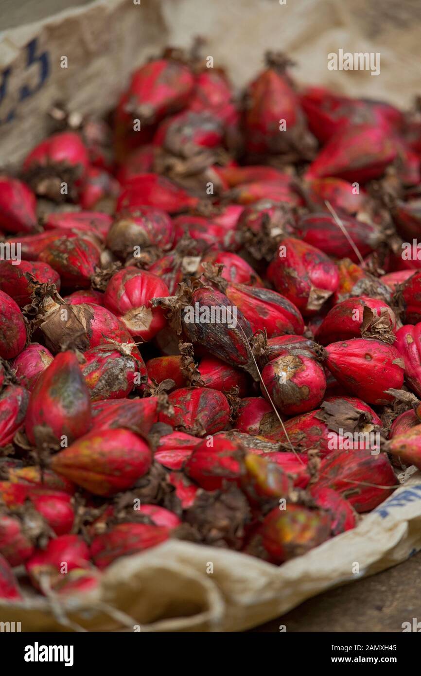 Cardamom korarima hi-res stock photography and images - Alamy