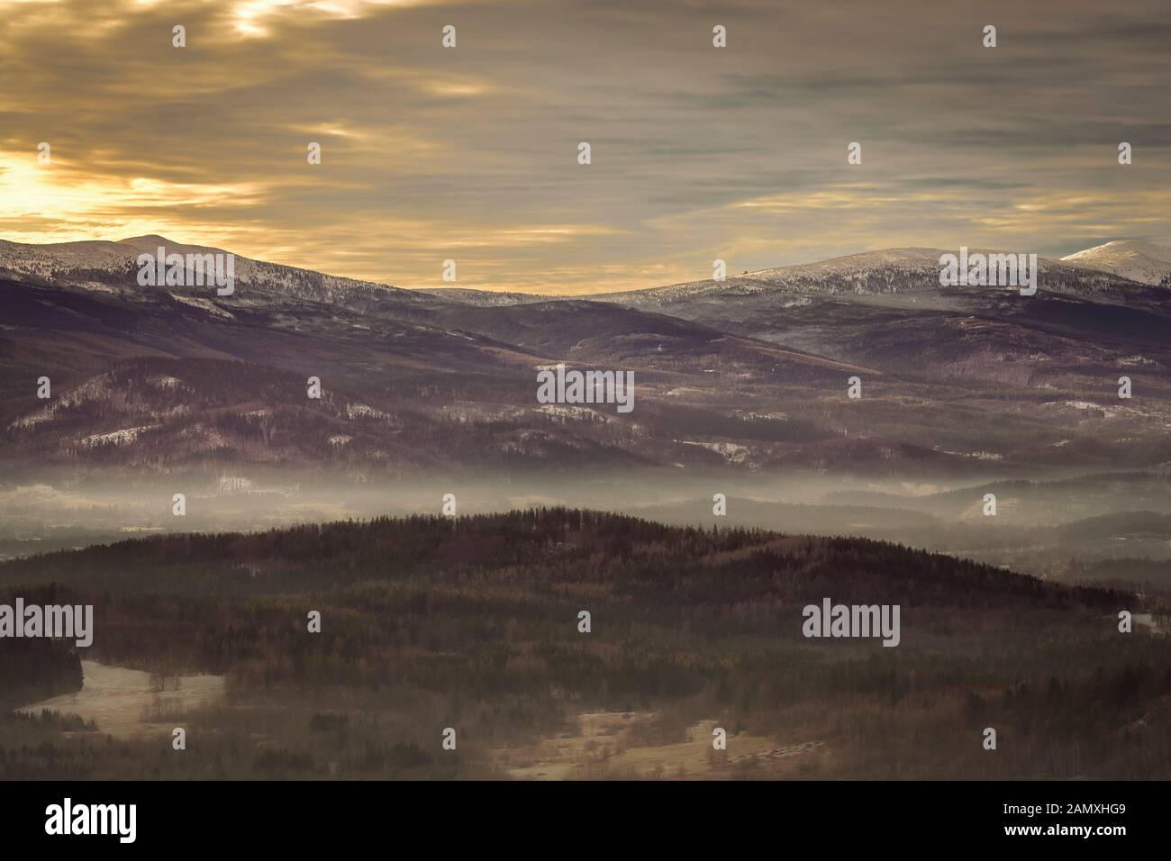 Giant forest winter hi-res stock photography and images - Alamy