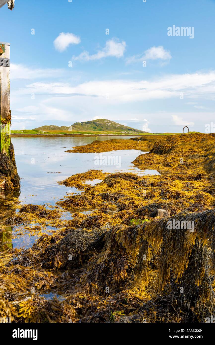 Small island off the shore of Barra viewed from the harbour area with ...