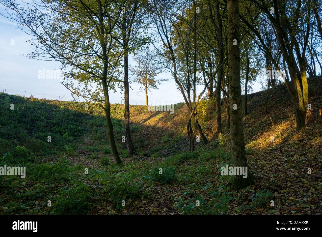 Hawthorn ridge crater hi-res stock photography and images - Alamy