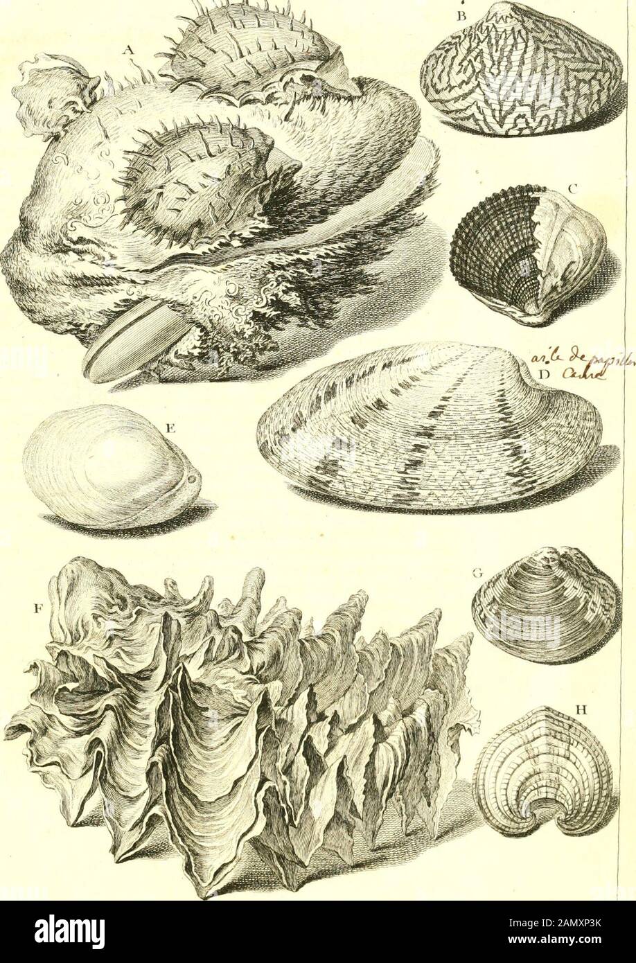 Pavillon de la lune hi-res stock photography and images - Alamy