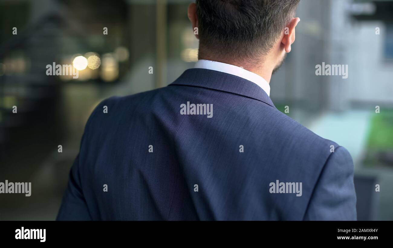 Back view of man in suit, elegant business clothing, fashionable jacket ...