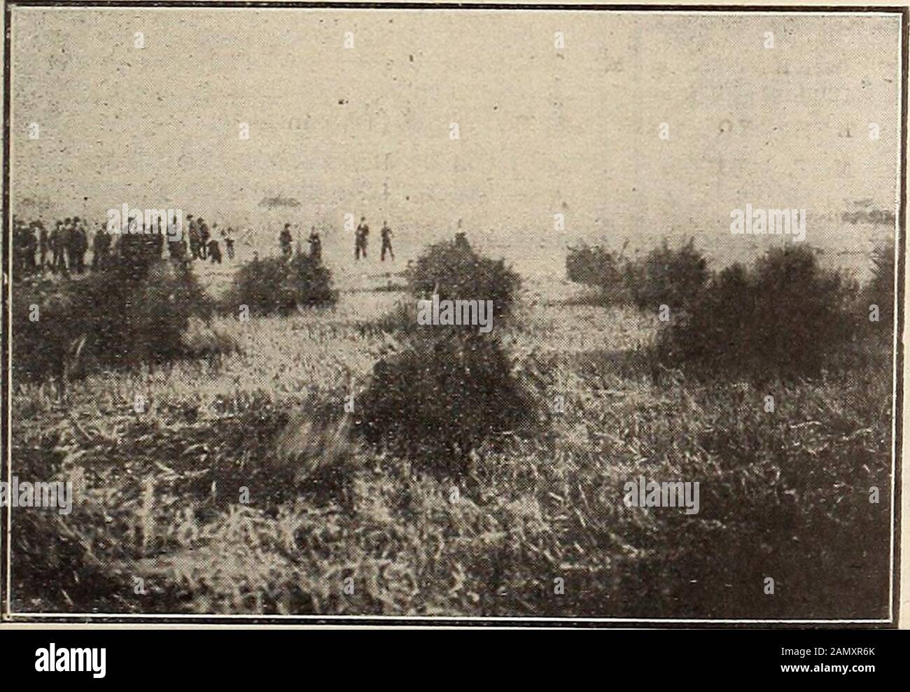 Dynamite policy hi-res stock photography and images - Alamy