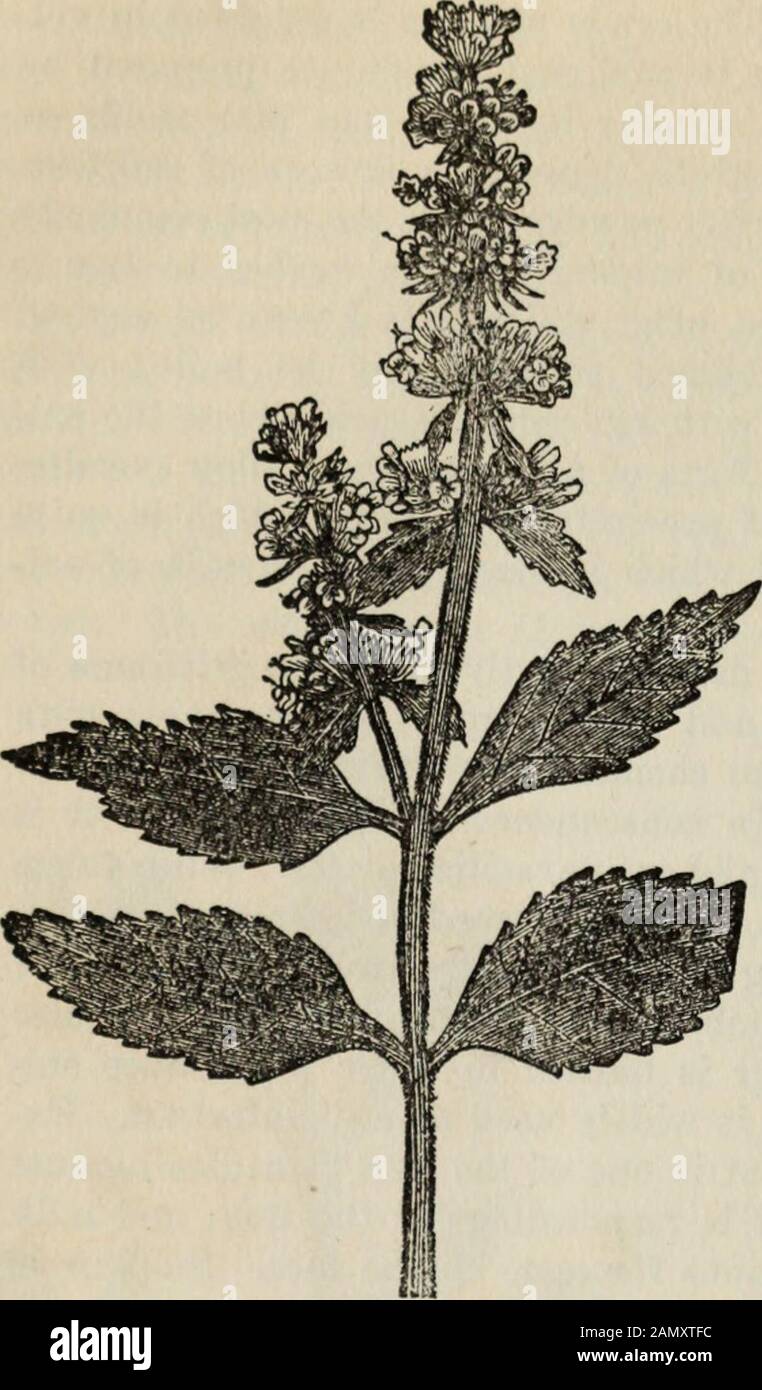 Rectified alcohol hi-res stock photography and images - Alamy