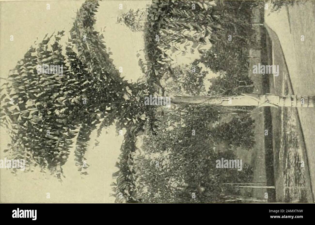 Pwf hi-res stock photography and images - Alamy