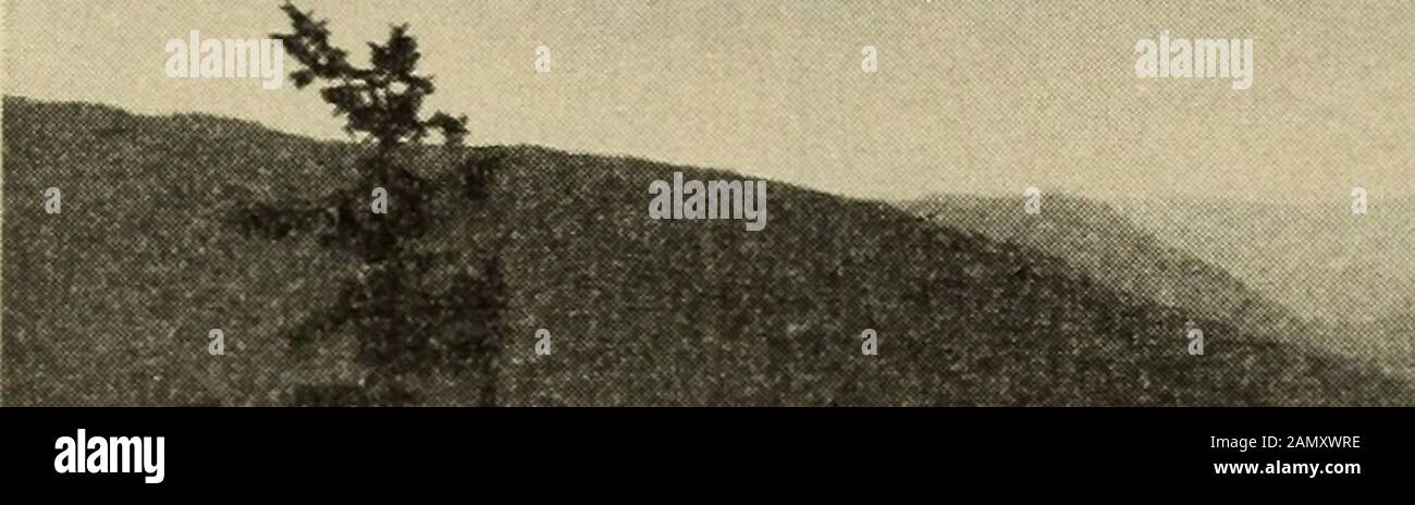 Peneplain Stock Photos & Peneplain Stock Images - Alamy