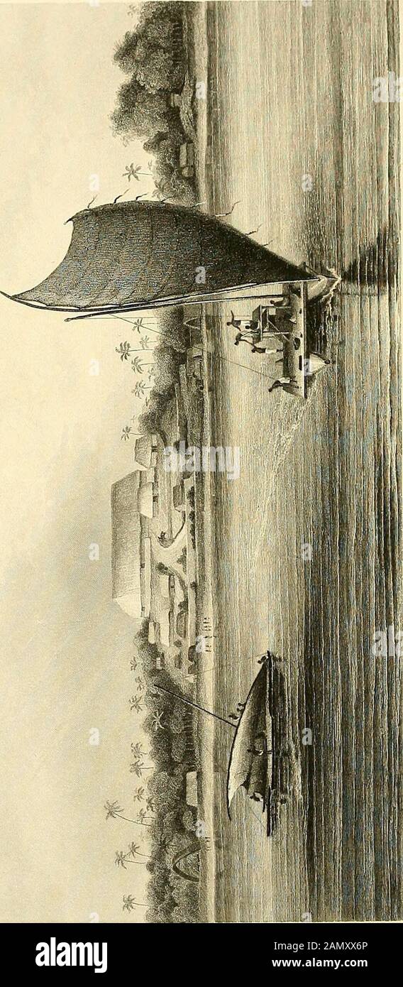 Rotuma hi-res stock photography and images - Alamy