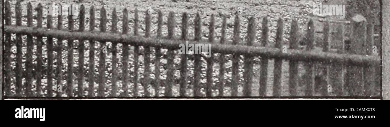 Stokes seeds : 1918 . A typical European seed farm Stock Photo - Alamy