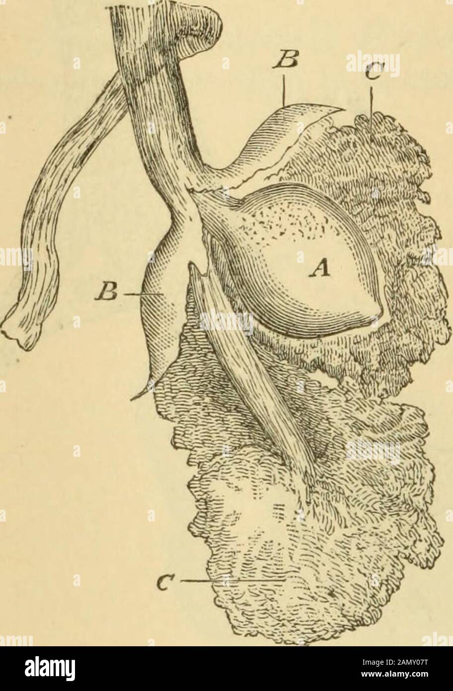 Mencing hi-res stock photography and images - Alamy