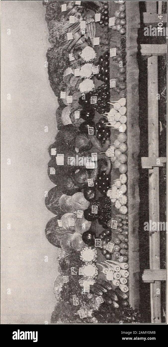 Stokes seeds : 1918 . Copyright, igtS. by Stokes Seed Farms Company ...