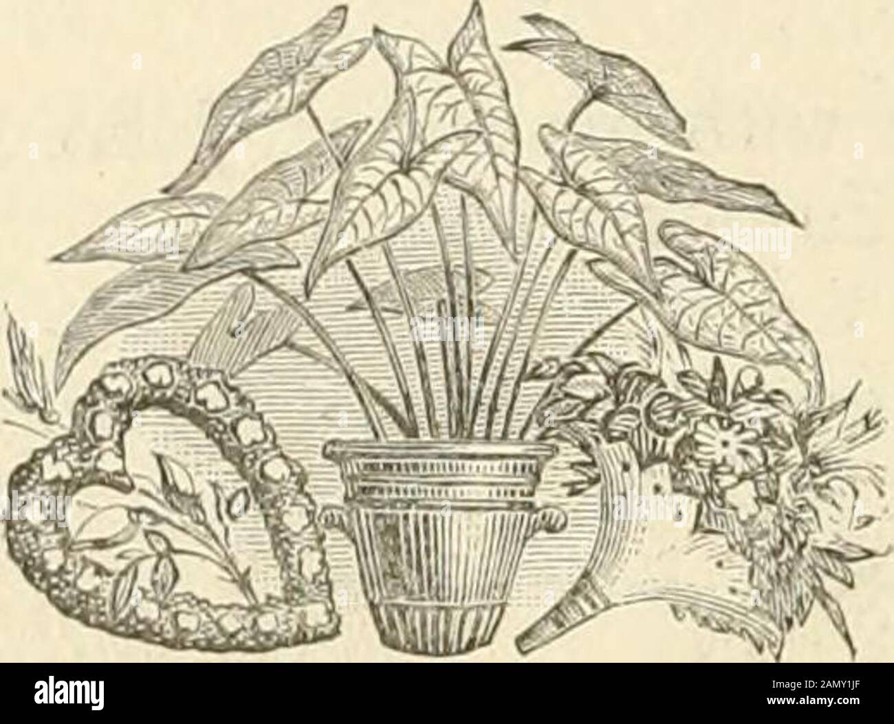 E 13 50 37 hi-res stock photography and images - Alamy