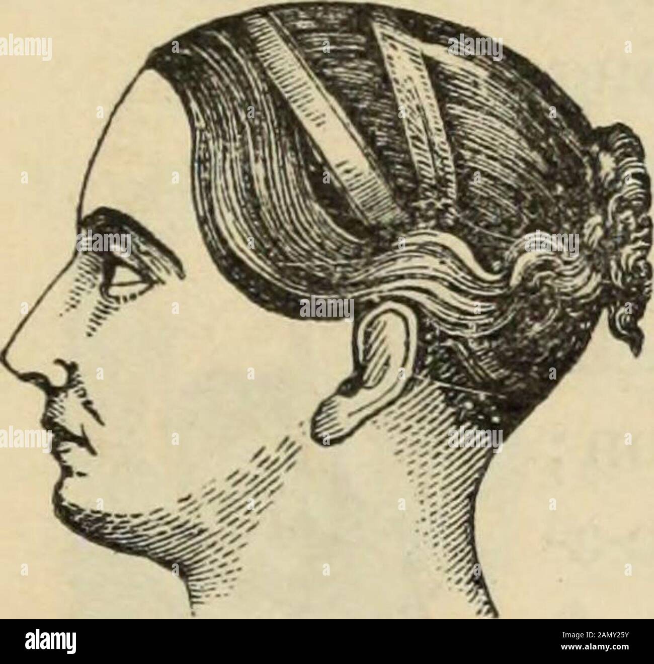 External organ organs hi-res stock photography and images - Alamy